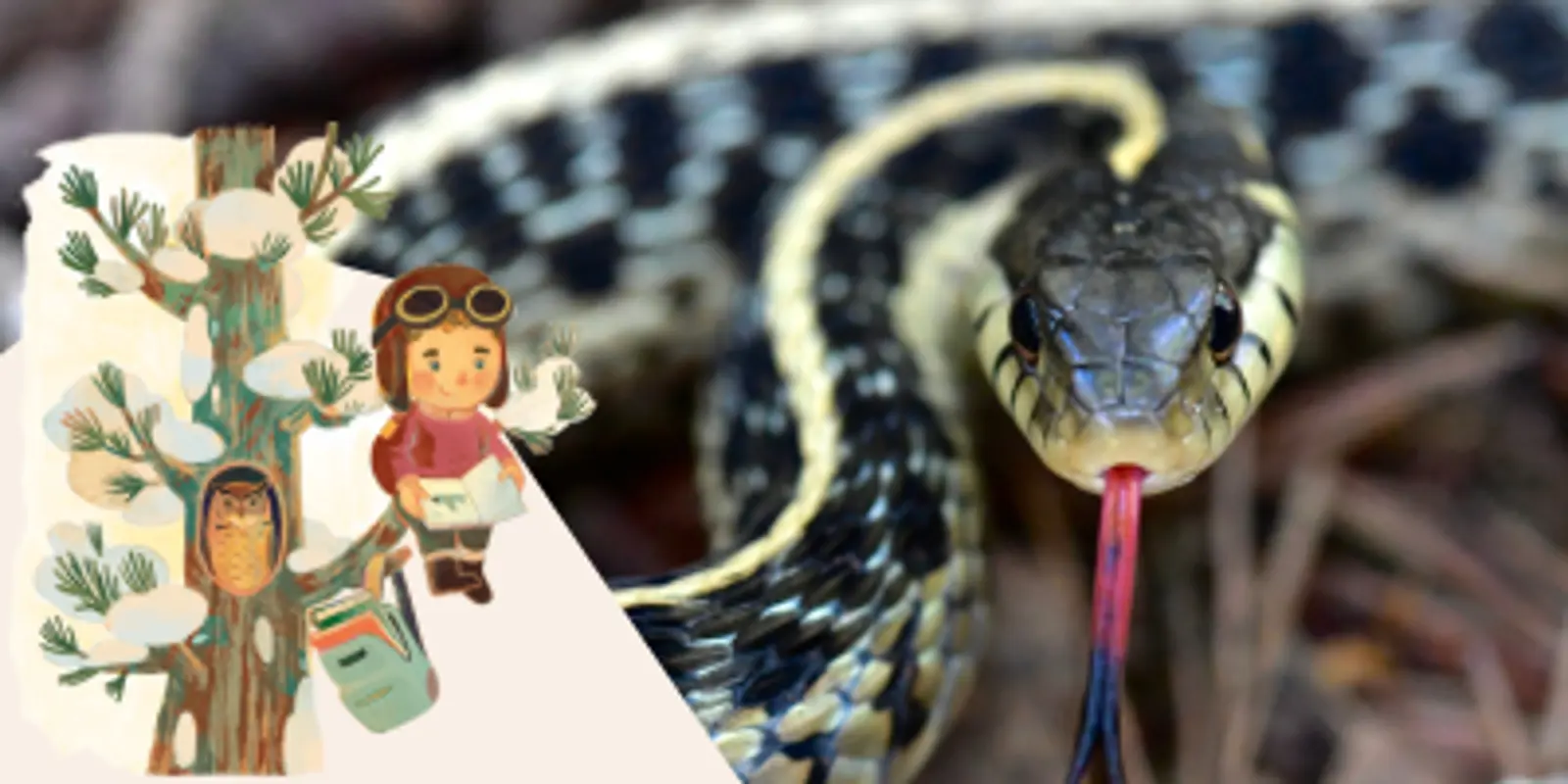 TD Summer Reading Club | Clarington Library, Museums & Archives