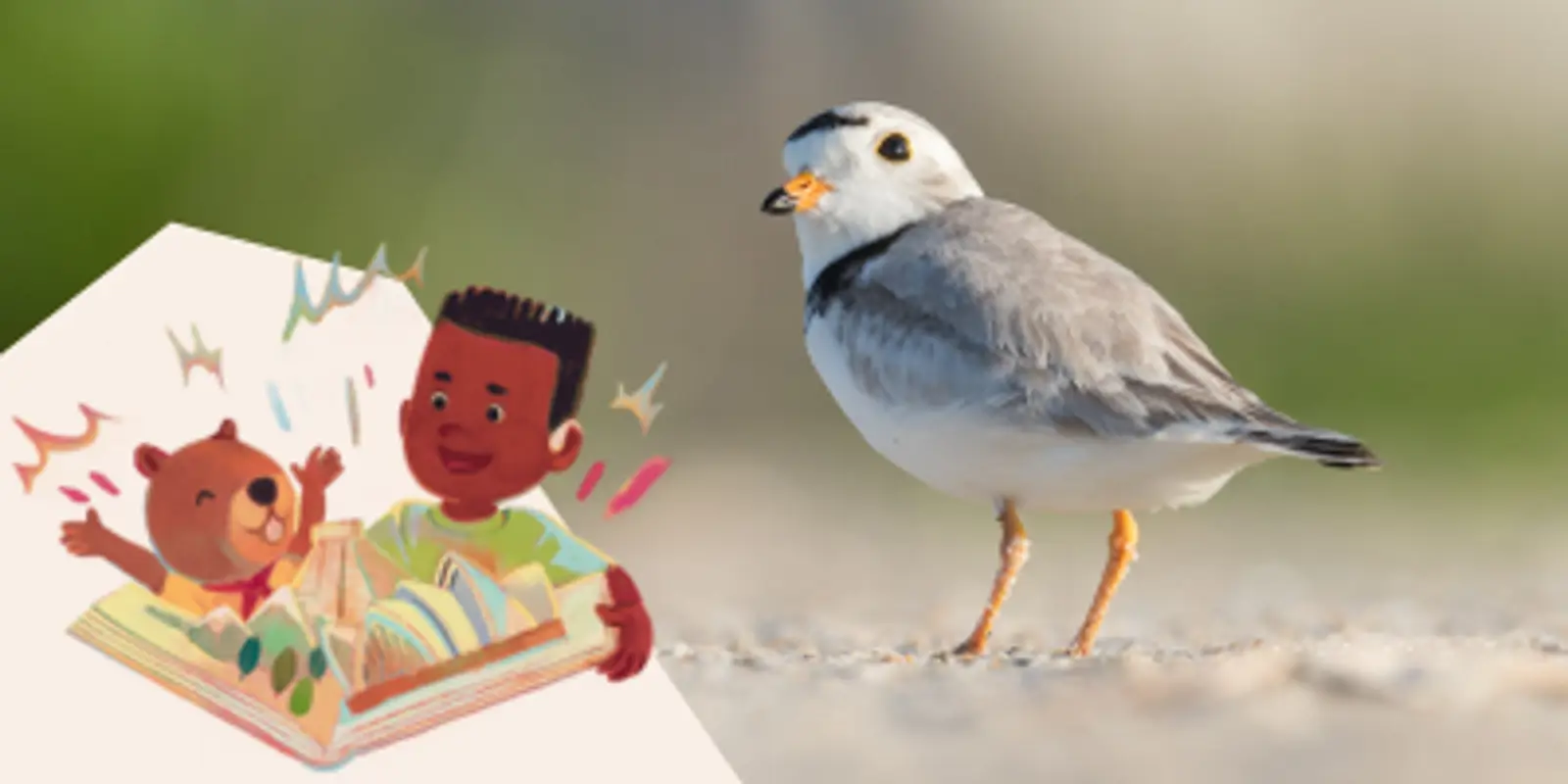 TD Summer Reading Club | Clarington Library, Museums & Archives