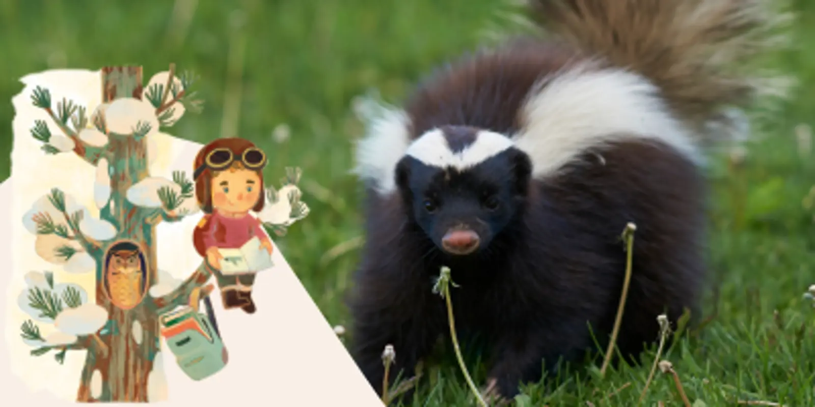 TD Summer Reading Club | Clarington Library, Museums & Archives